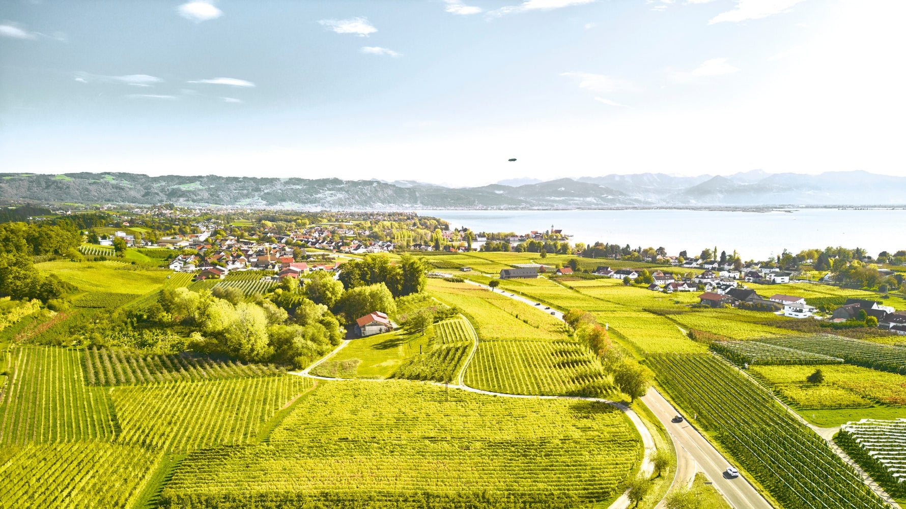 Startseite – Weingut Hornstein