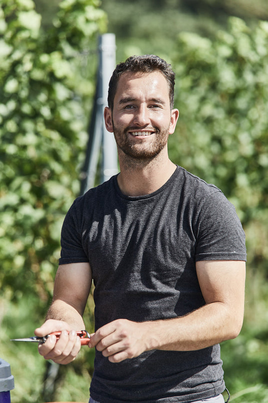 Startseite – Weingut Hornstein